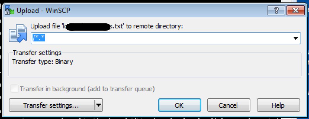 Dummy Needs Super Explicit One Liner Command Line Command For Simple Winscp Exe File Put Over